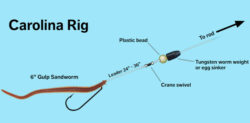 Best Rigs for Surf Fishing (To Use For Live Bait) - Surf Fishing California