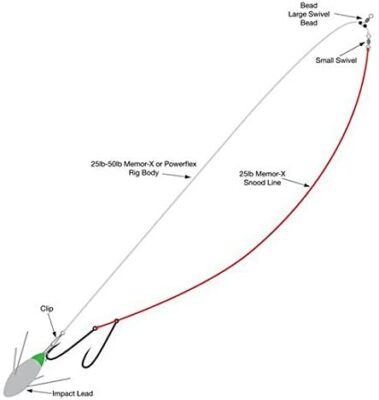 Best Rigs for Surf Fishing (To Use For Live Bait) - Surf Fishing California